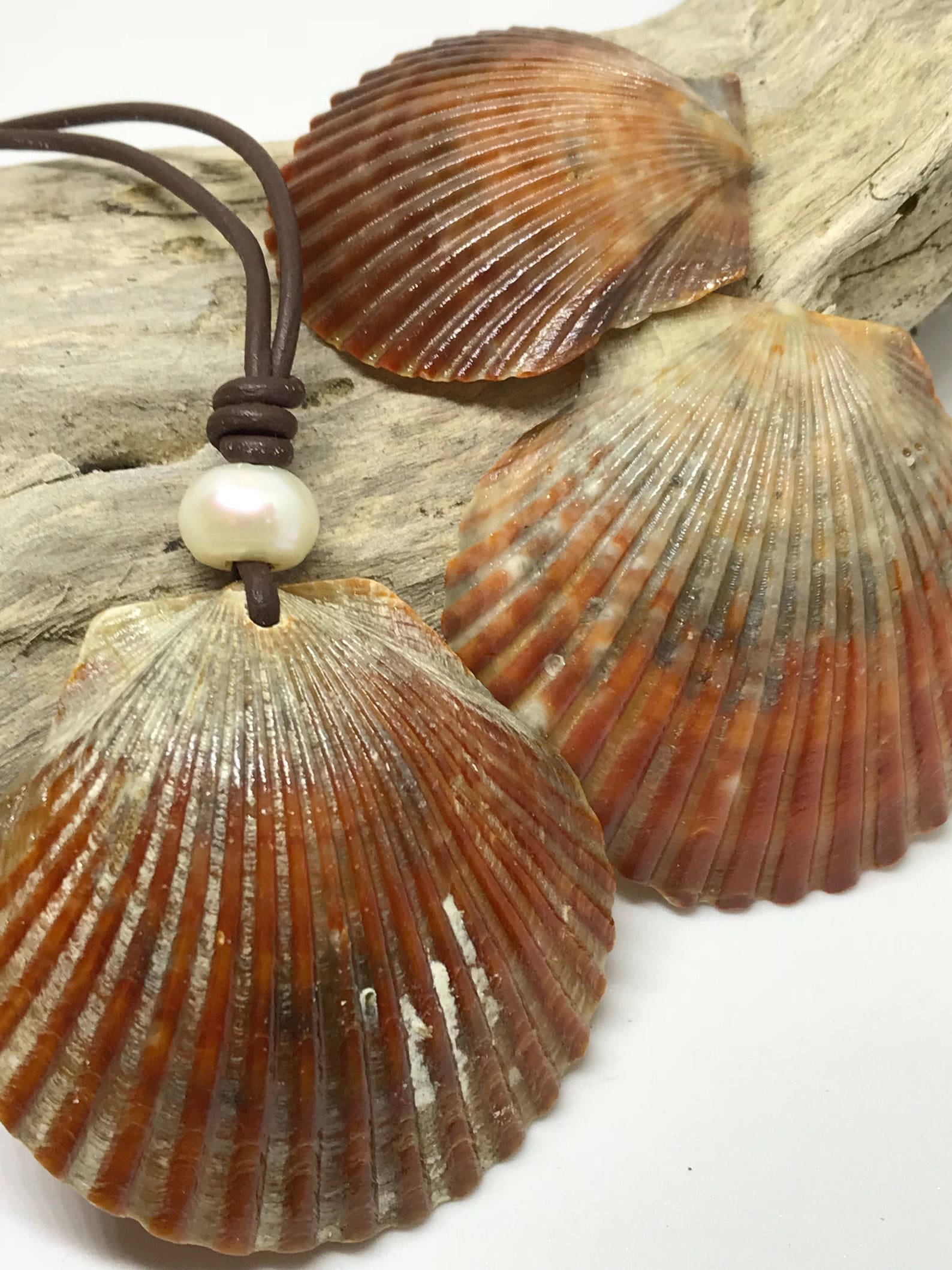 Scallop Seashell Adjustable Ocean Beach Necklace, Sea Necklace ...