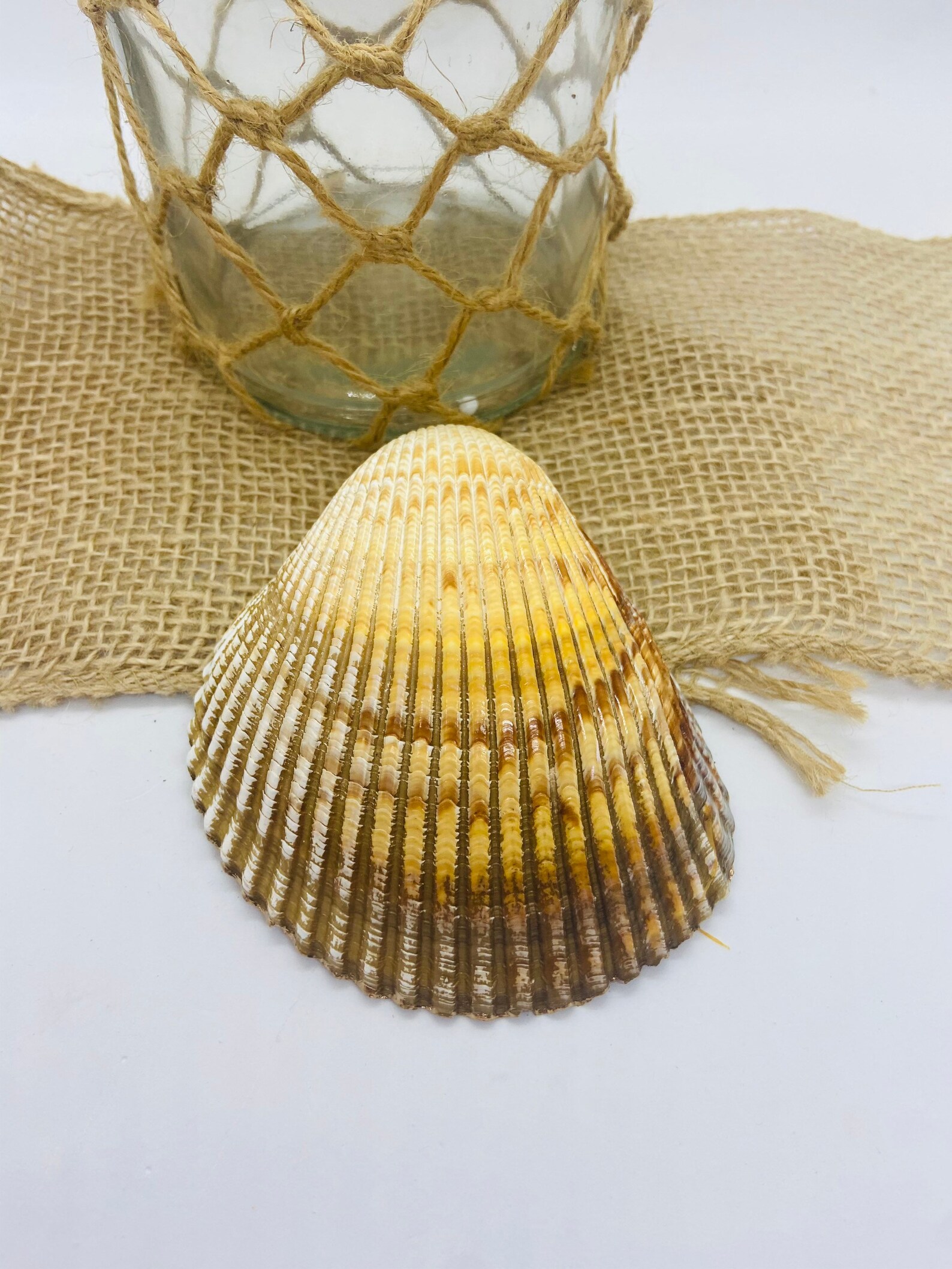 Mermaid Shell Trinket Dish or Coastal Decor | Etsy