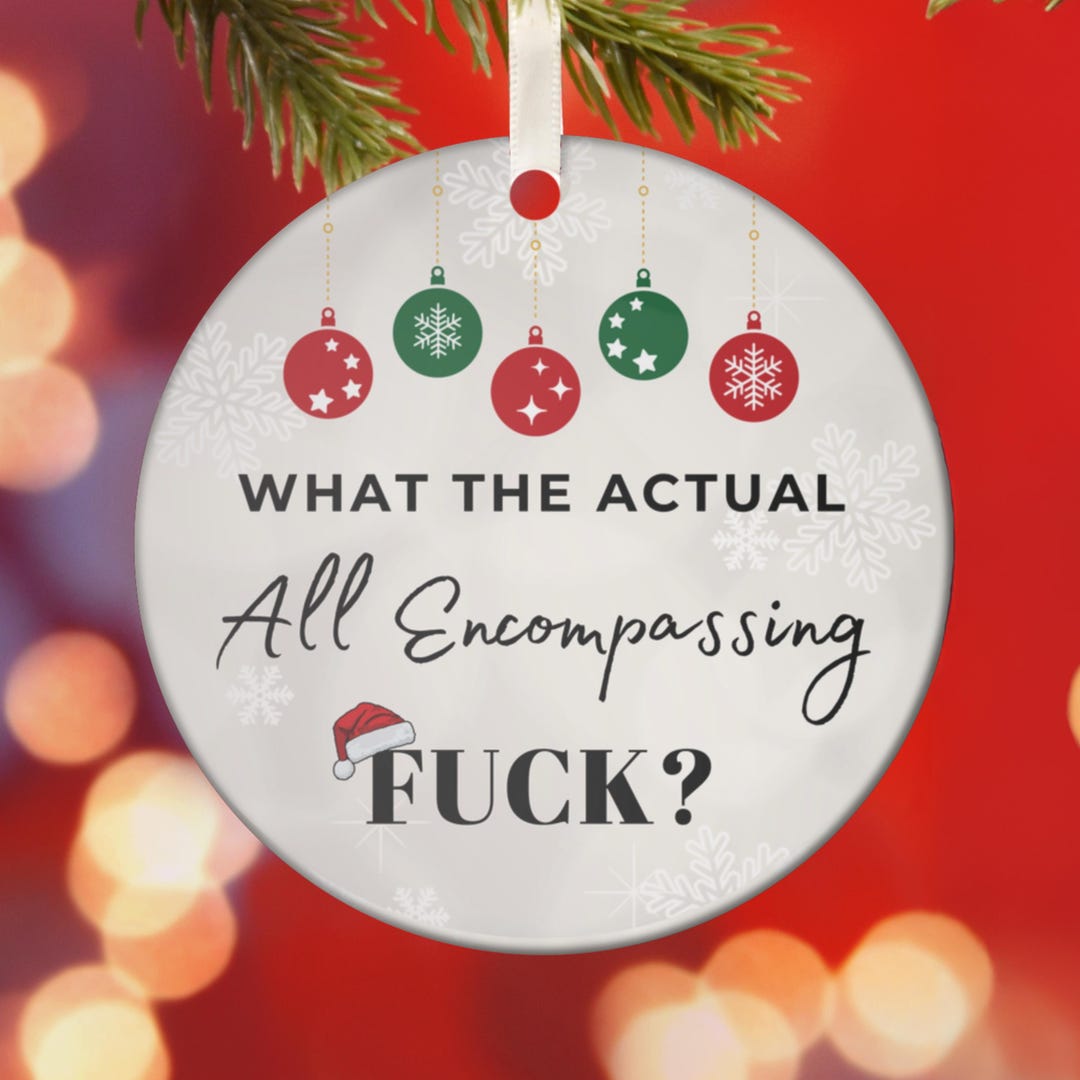 Funny Christmas Ornament Inappropriate Naughty Christmas Present Funny ...
