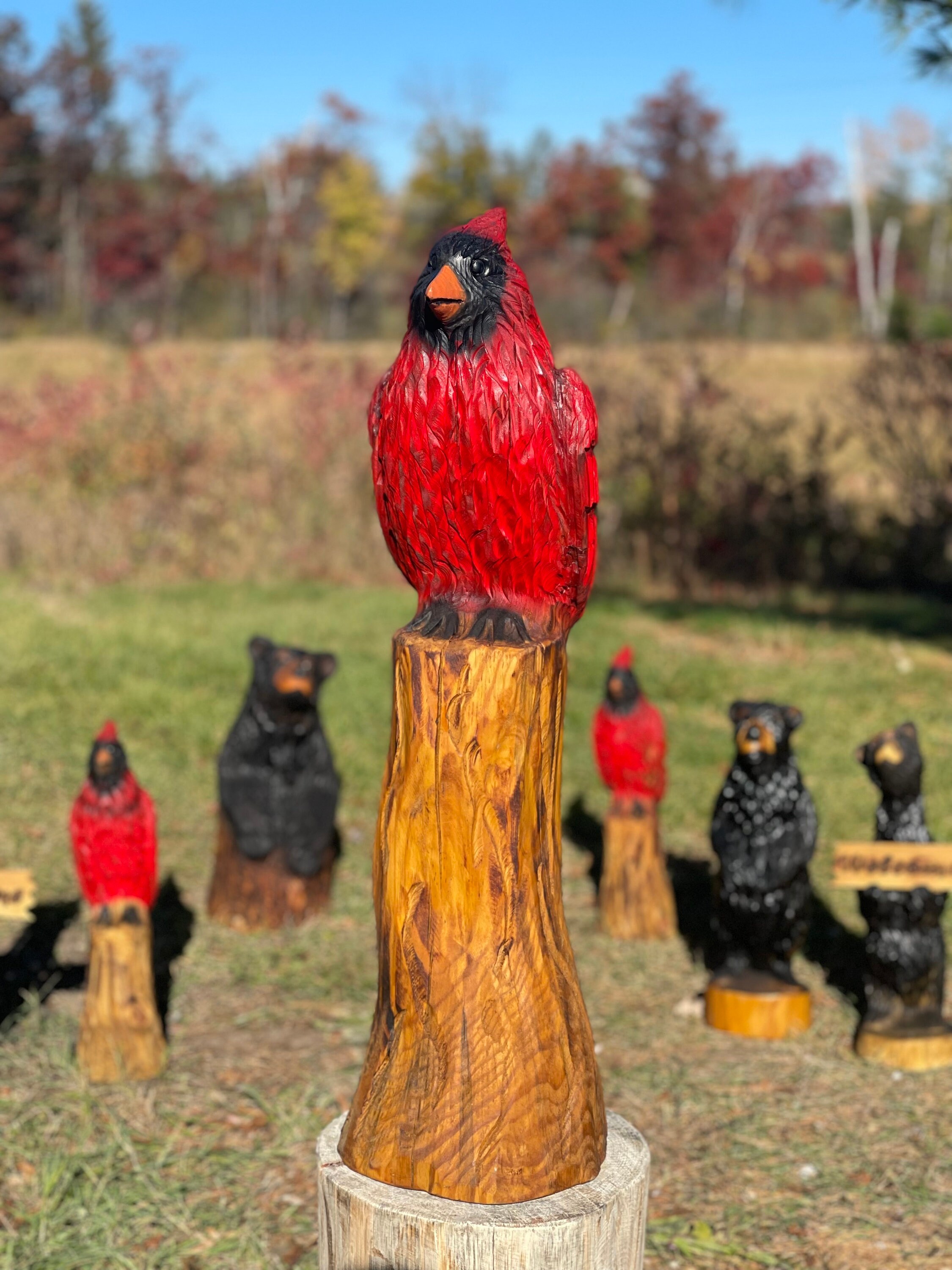 Large Cardinal - Etsy