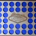 Vegas Casino Chip Display Frame Insert Poker Player Gift Laser-engraved ...