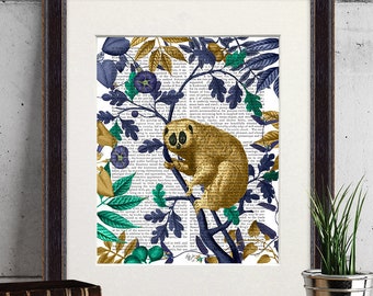 Slow Loris Wall Art - Etsy