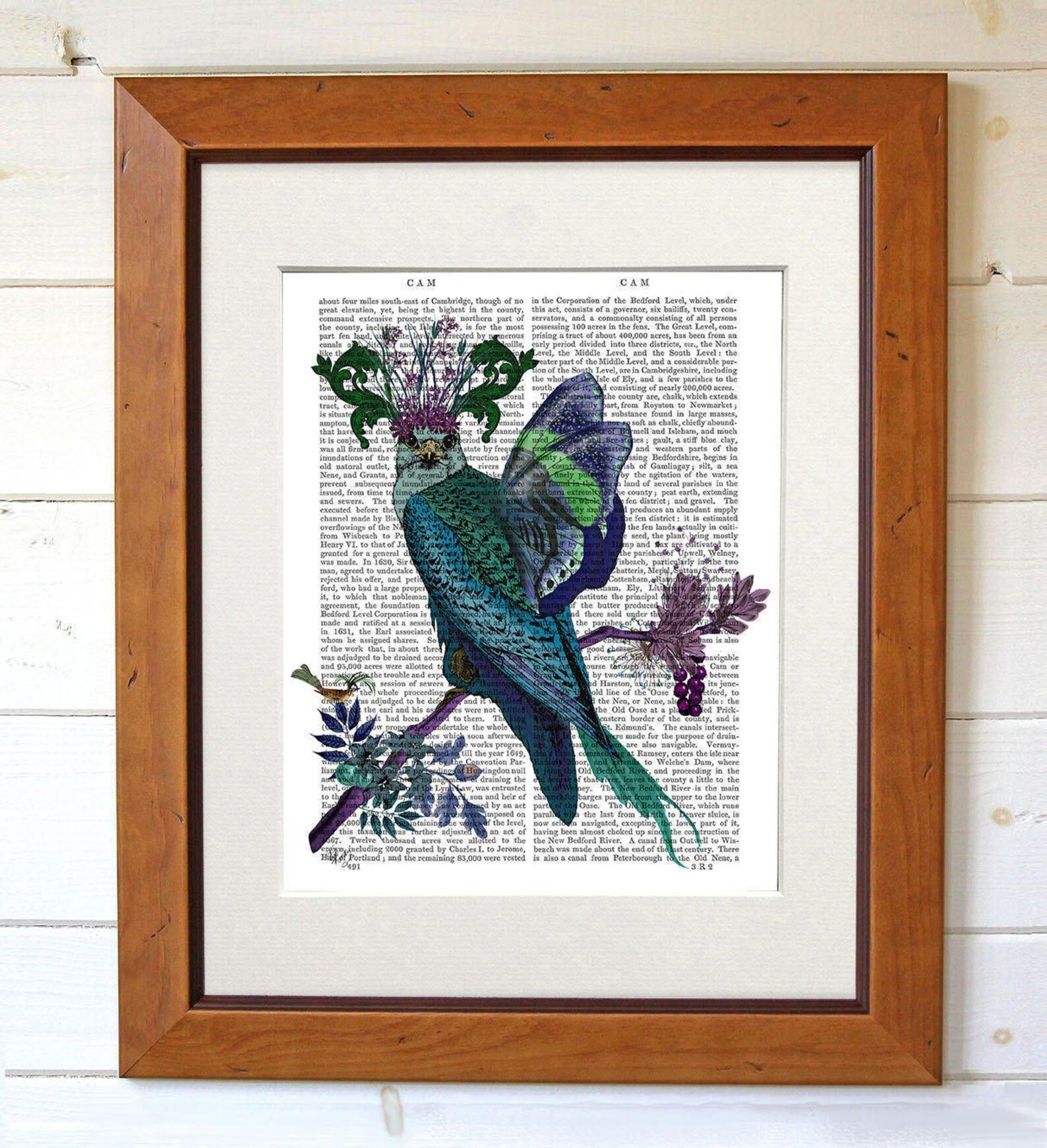 Blue Falcon - Falcon Print Bird Art Print Bird Print Bird Artwork ...