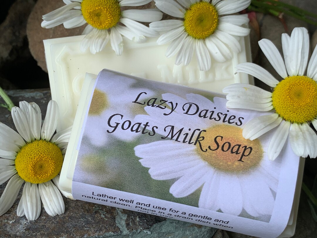 Lazy Daisies Goat Milk Soap: Homemade Peach Blossom Scent (4 Oz) - Etsy