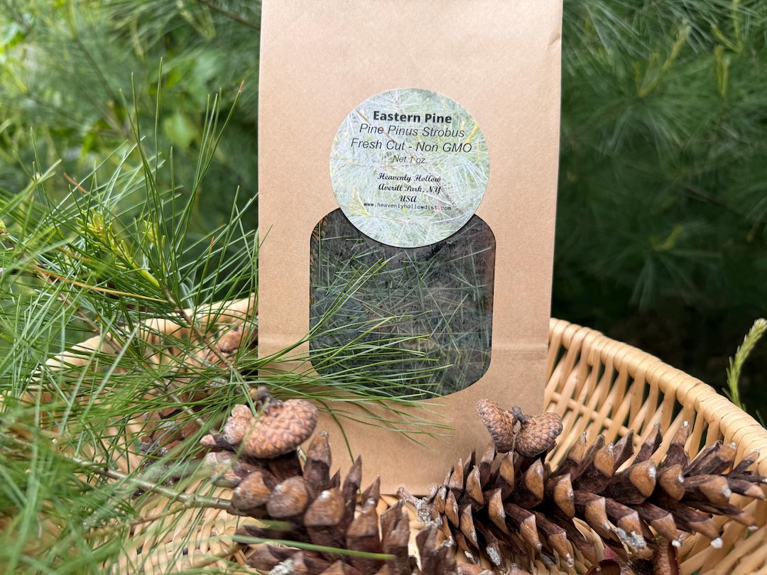 White Pine Needles | Eastern Pine Fresh Cut at Order | Natural ...