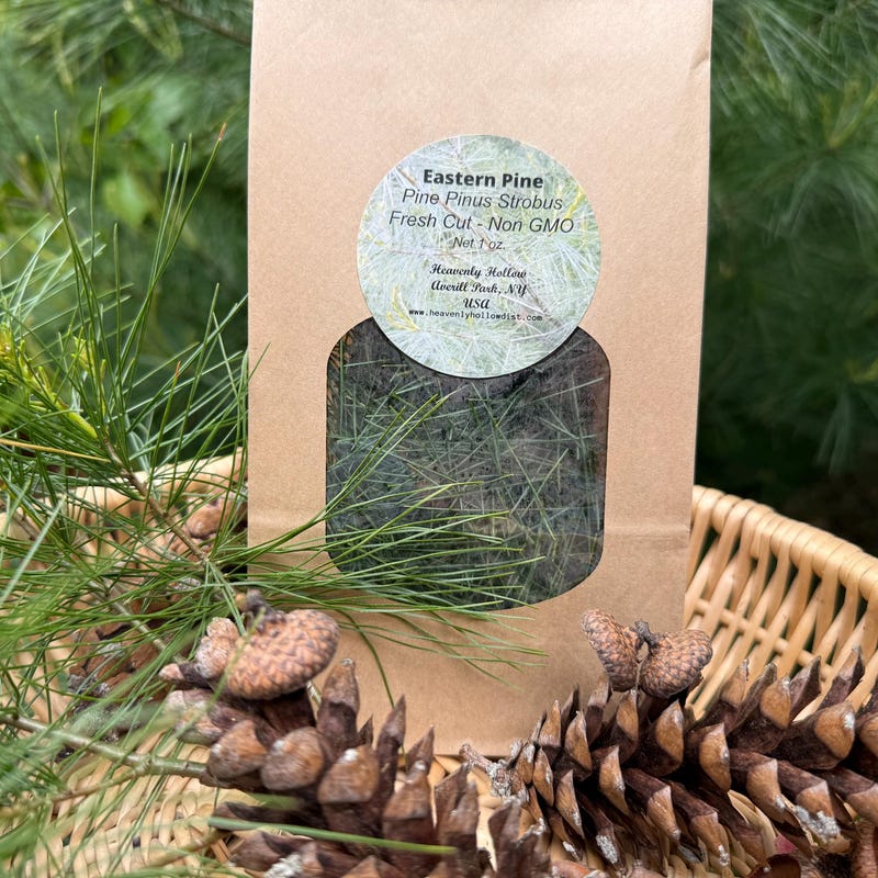 Pine Needles - Etsy