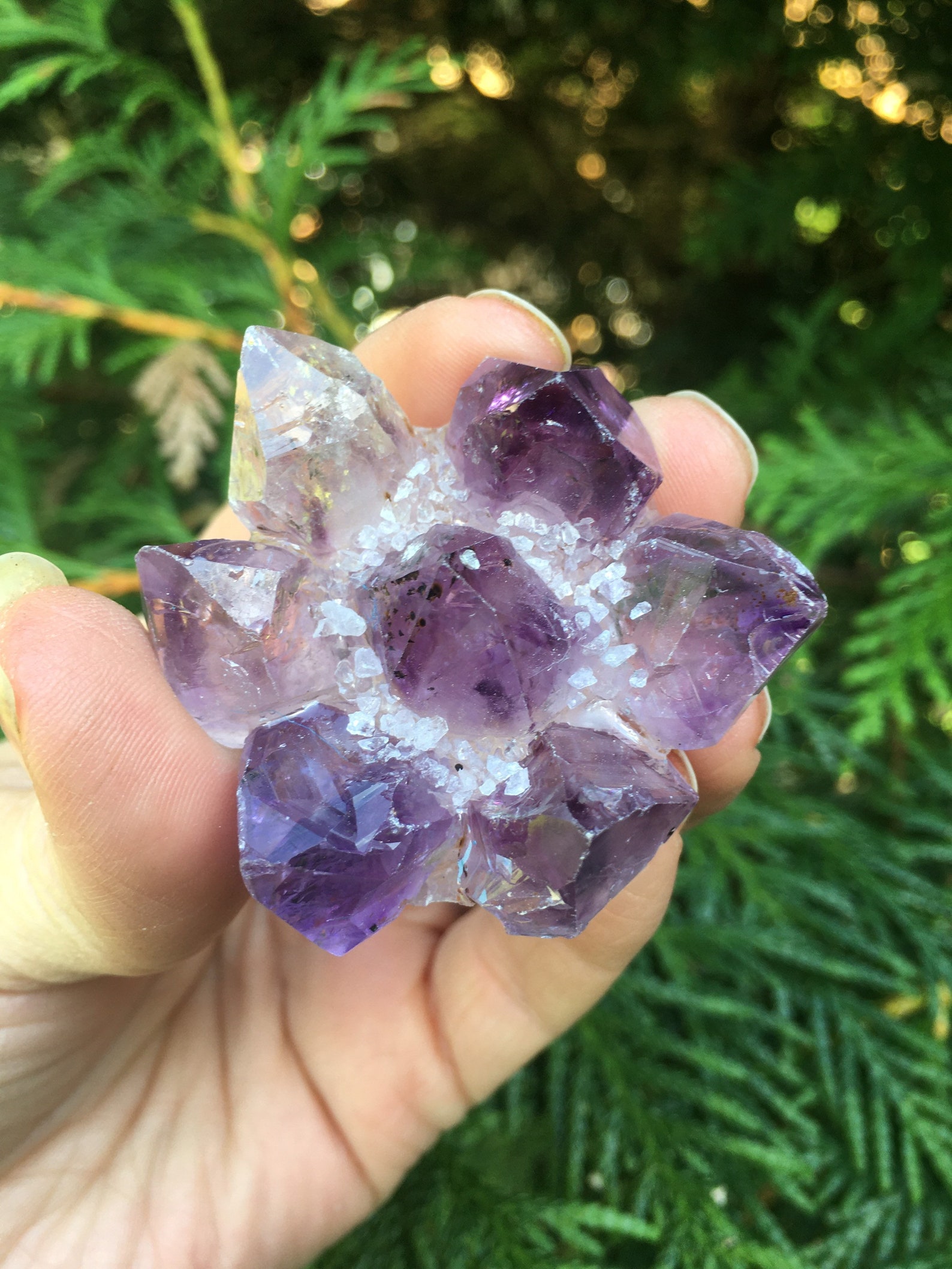 Amethyst Flower Flower Crystal ClusterAmethyst Uruguay Dark | Etsy