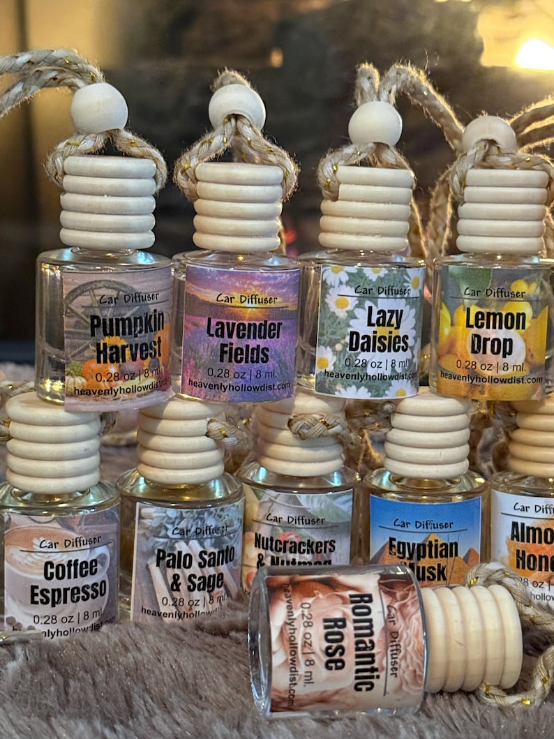 Hanging Car Diffuser: Scented Car Fragrance, Essential Oils - Etsy