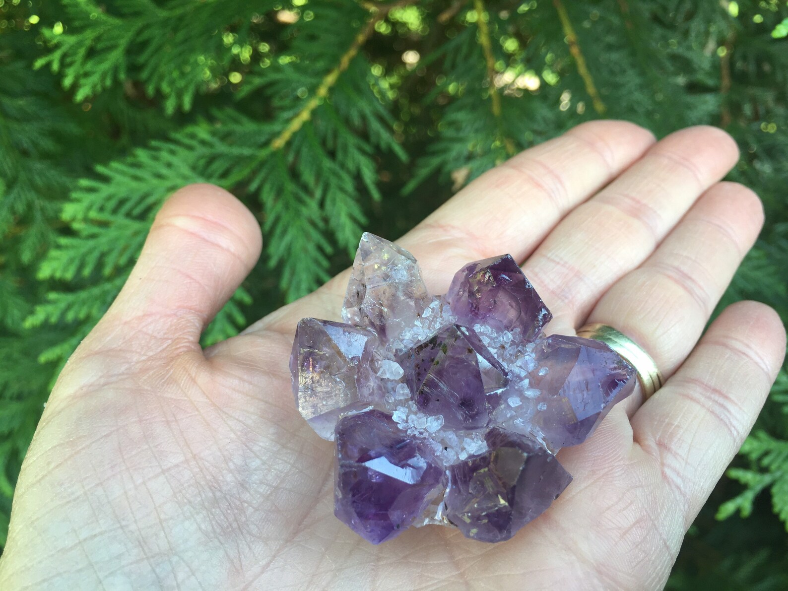 Amethyst Flower ,flower Crystal Cluster,amethyst Uruguay, Dark Purple ...