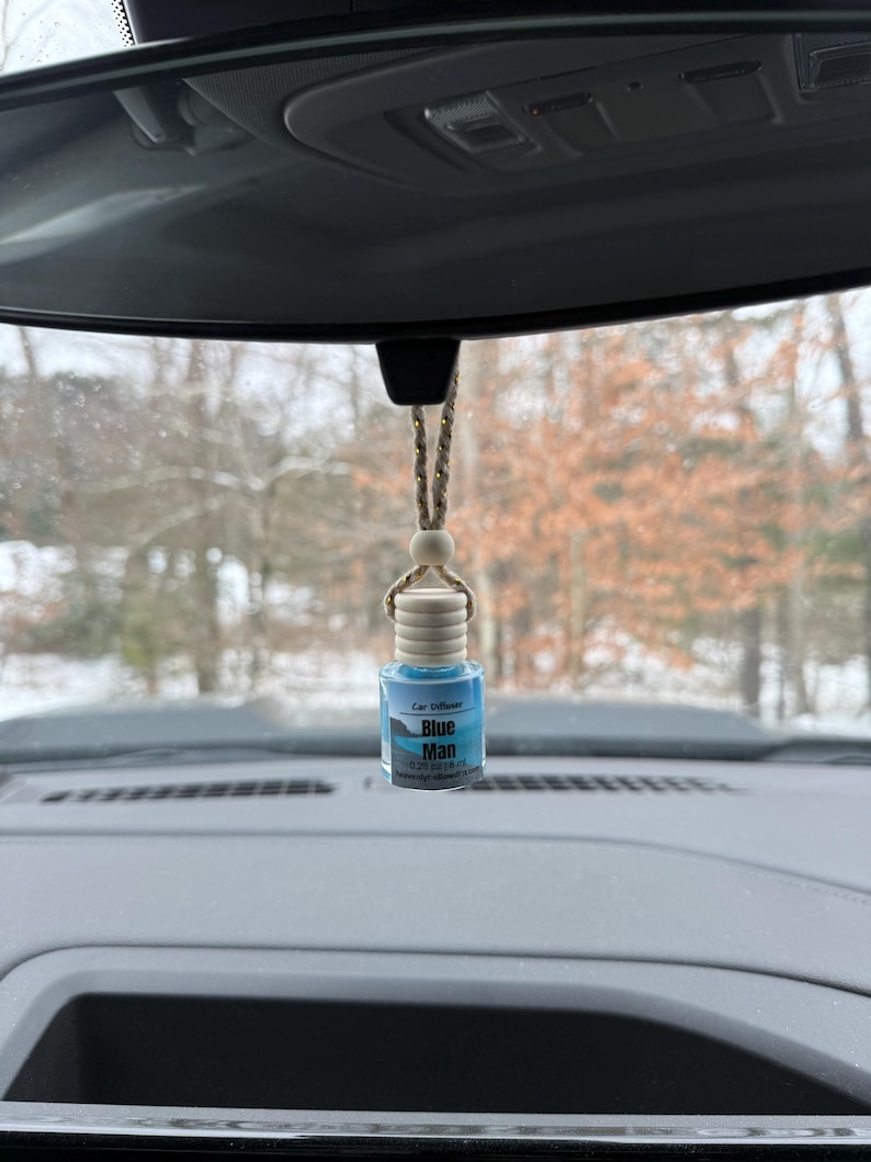 Hanging Car Diffuser: Scented Car Fragrance, Essential Oils - Etsy