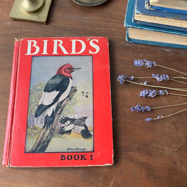 Vintage Bird Book - Etsy