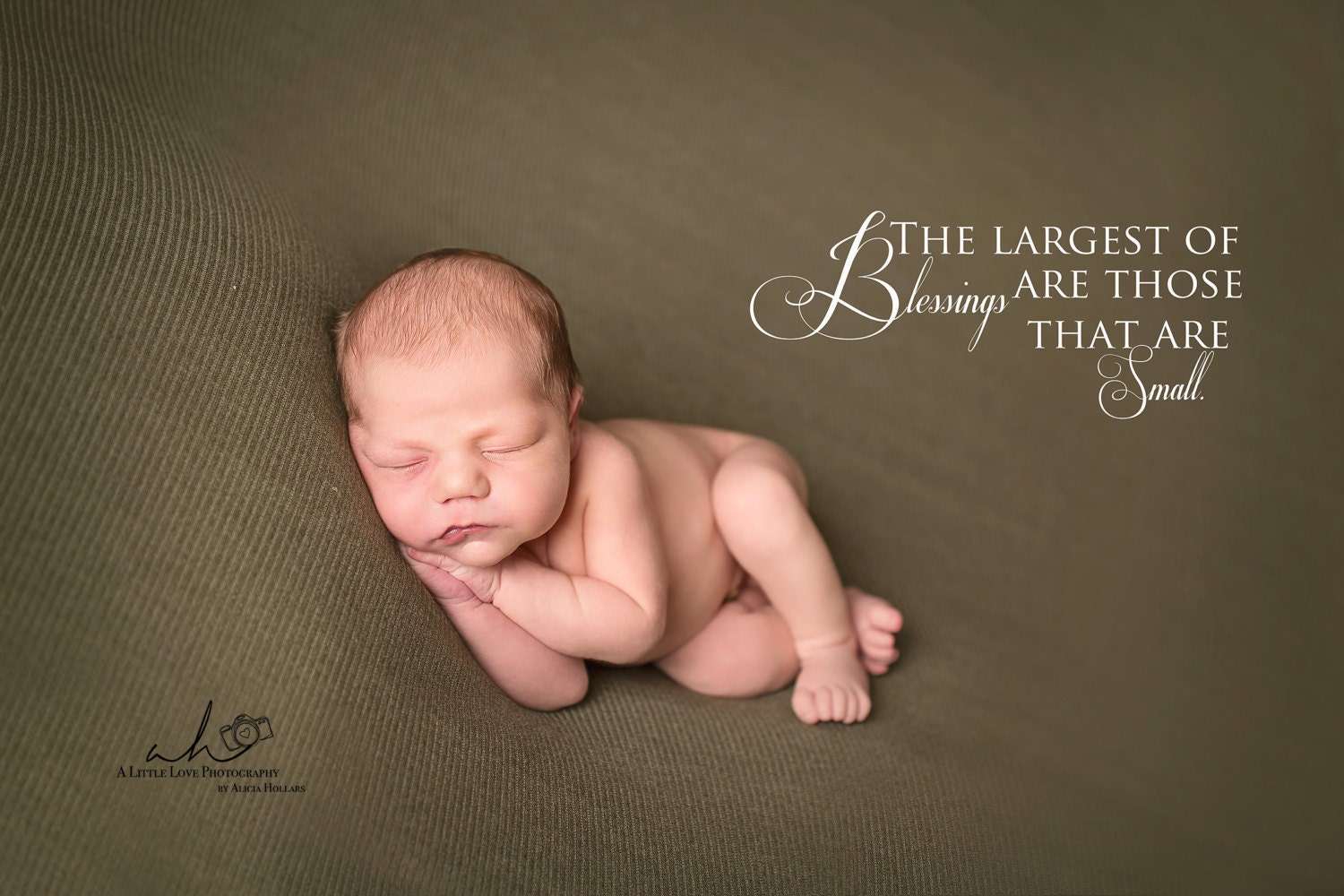 Maternity & Newborn Artful Words Overlays- SET OF 20 - Etsy