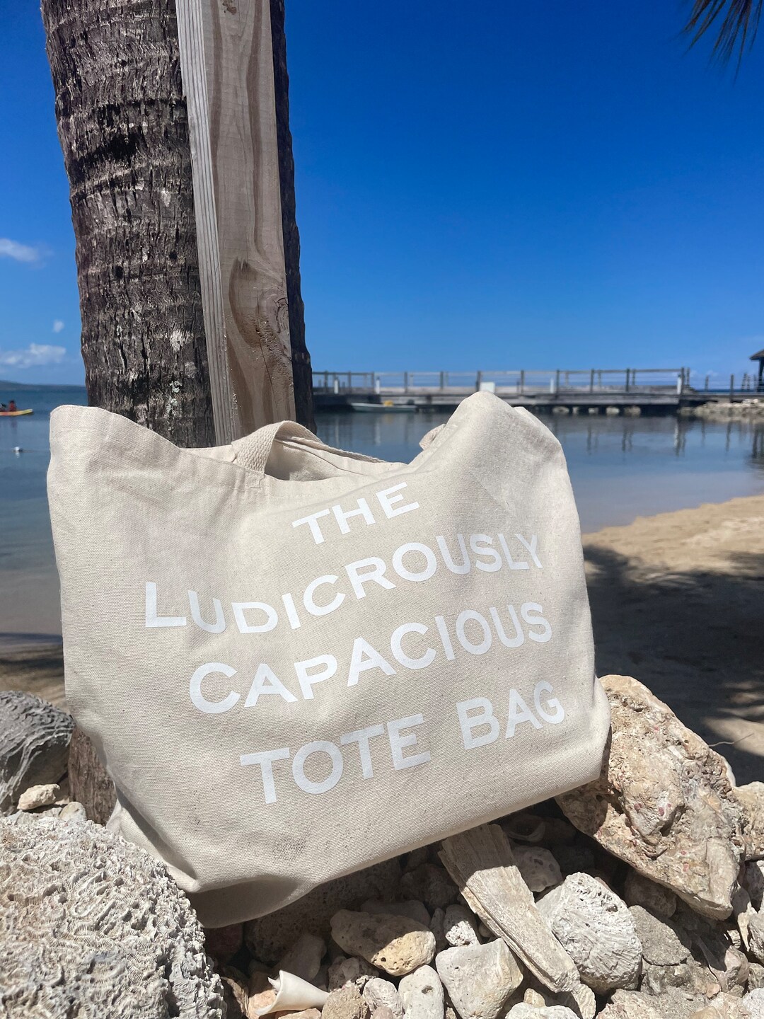 Ludicrously Capacious Tote Bag LARGE Funny Succession Fandom Cute Fan ...