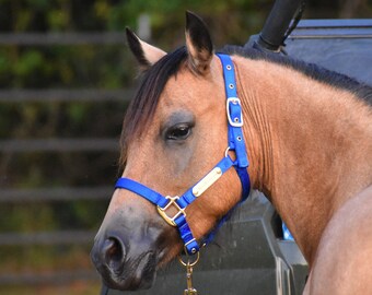 Personalized Leather Horse Halter With One Brass Tag | Etsy