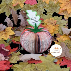 Beef Tomato - Tomato - Personalised Gift - Personalized Present - Red ...