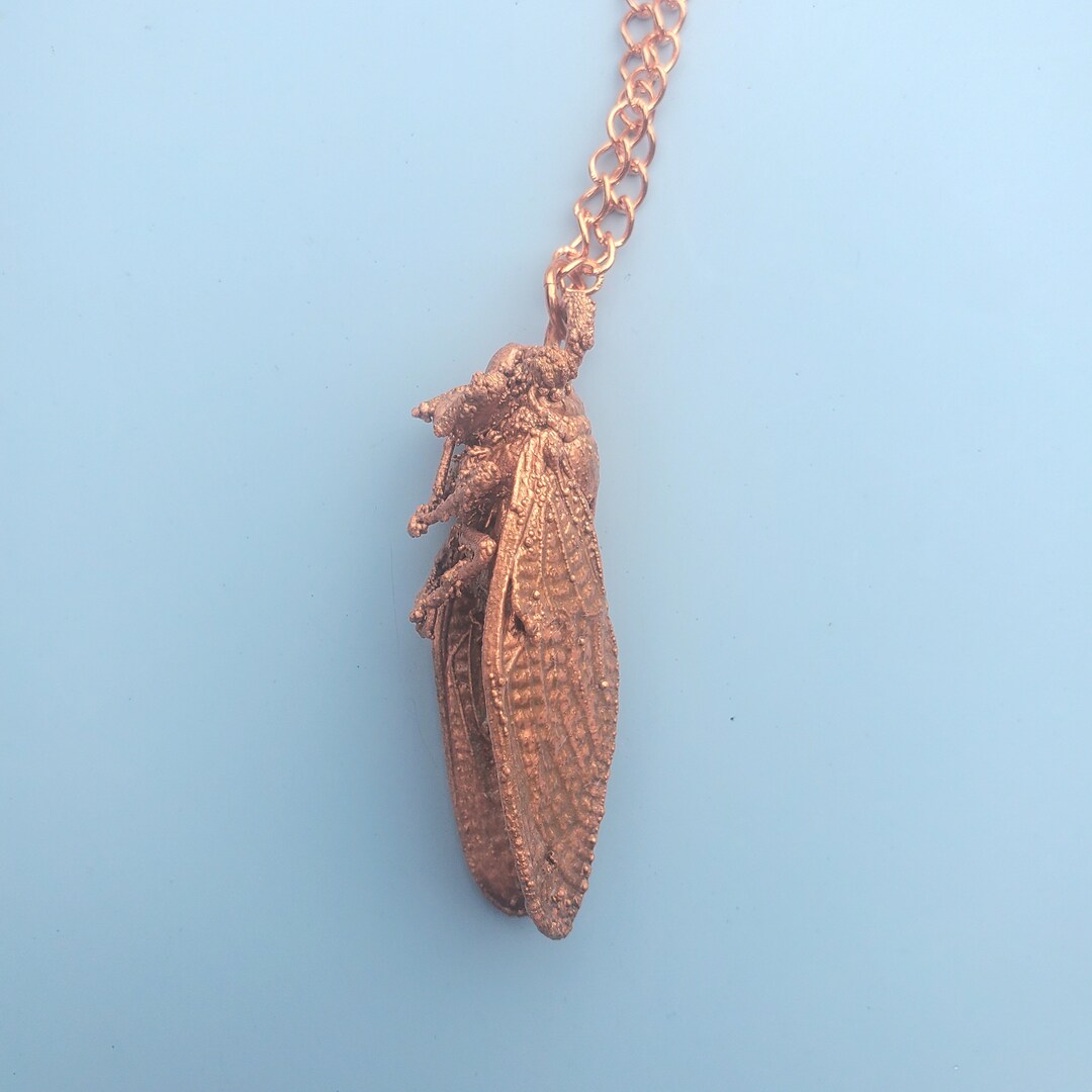 Copper Plated Cicada Necklace Real Cicada Necklace Real Bug Necklace ...