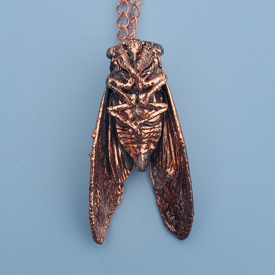 Copper Plated Cicada Necklace Real Cicada Necklace Real Bug Necklace ...