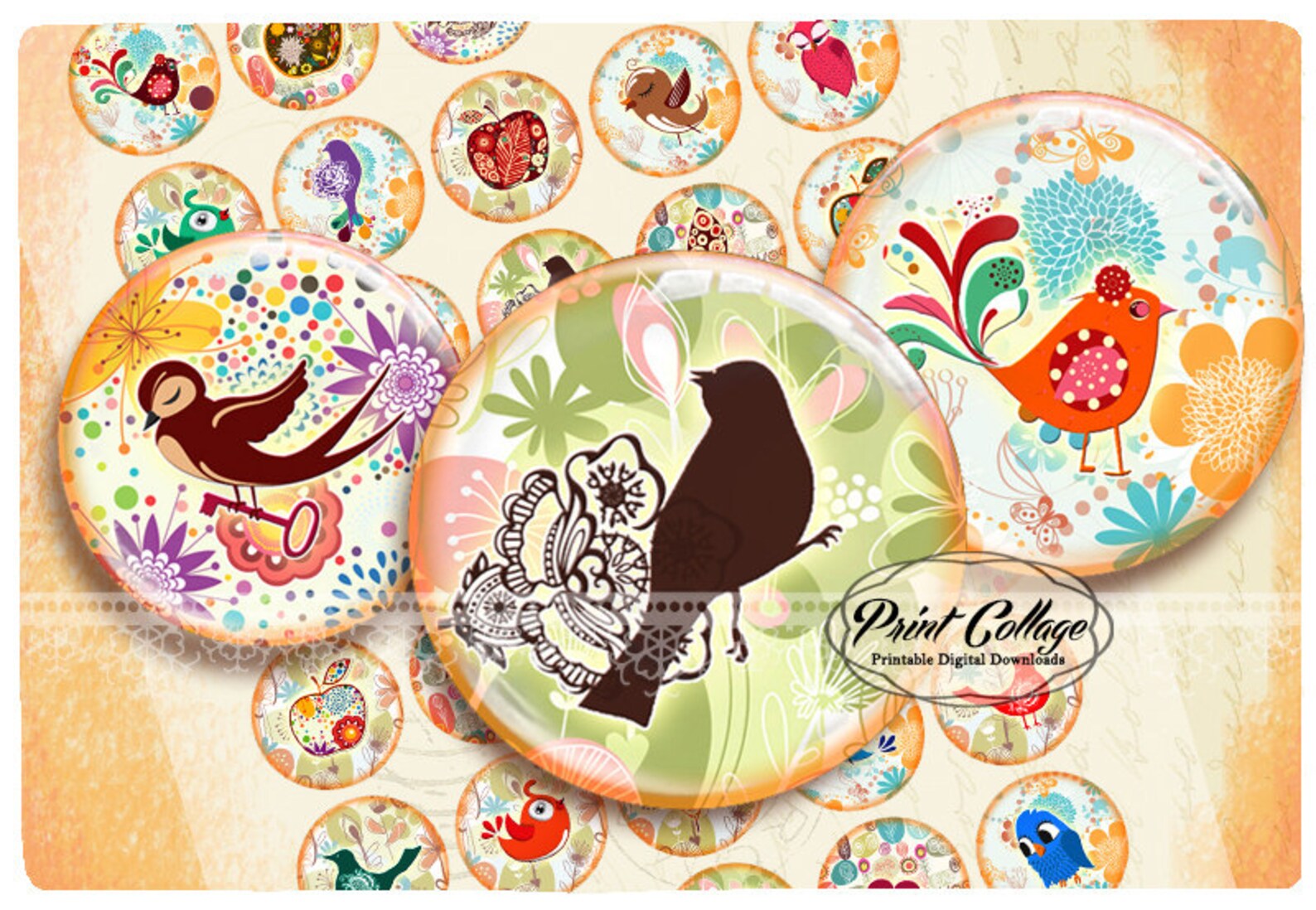 Bird Animal Images Pinback Buttons Digital Printable Sheet Button ...