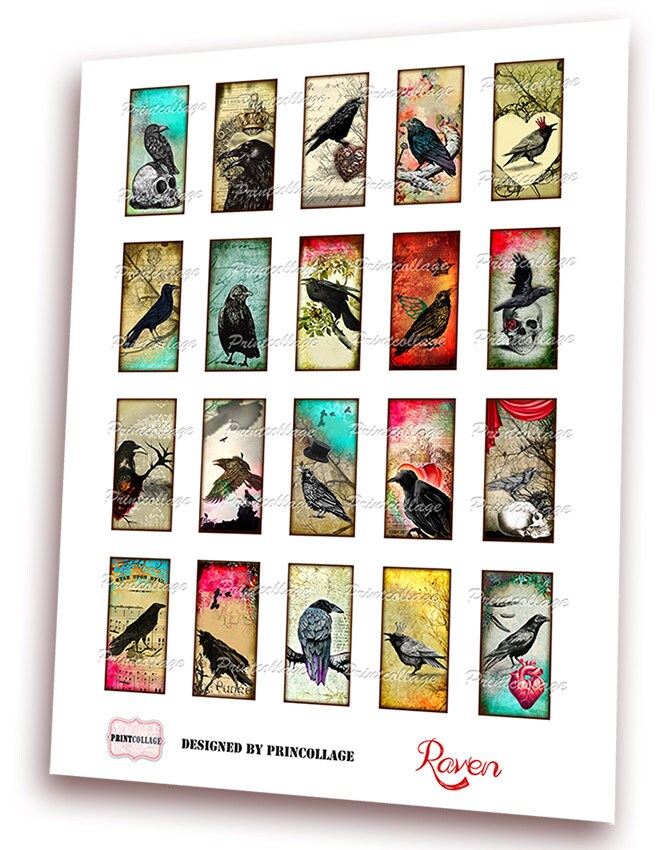 Raven Bird Animal Images Digital Collage Sheet 1x2 Inch Domino - Etsy