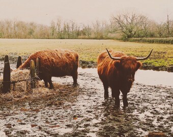 Scottish Slang Print Dobber Dictionary Print Store Wall - Etsy