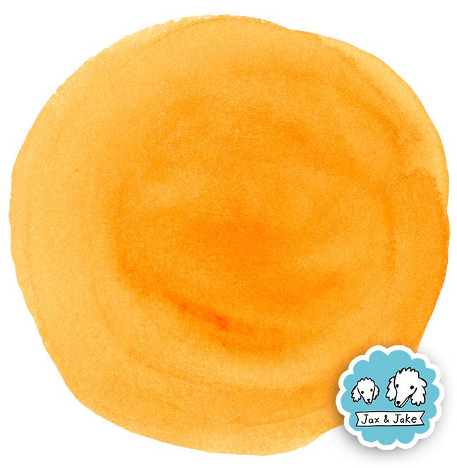 Hand-painted Watercolor Dots / Circles Clipart Watercolor Circle ...