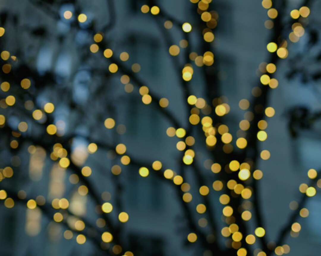 Lighted Tree Branches, Sparkling Tree Photography, Bokeh Light Abstract ...