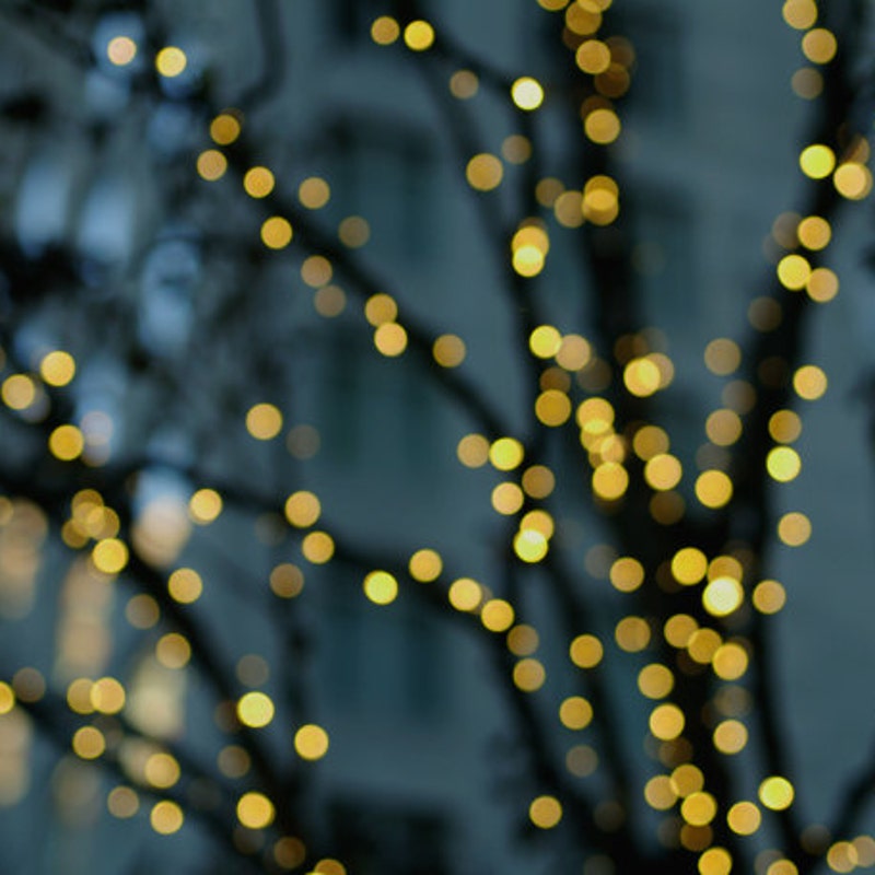 Sparkle Lights - Etsy