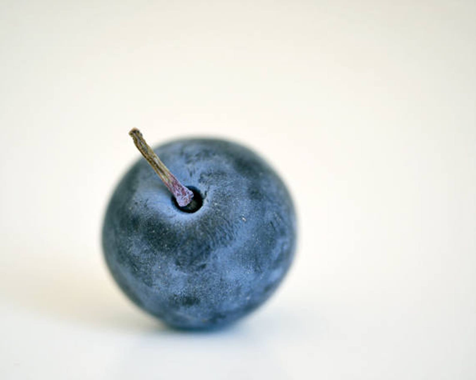 Blueberry Photography, Fruit Berry Art Print, Single Blueberry Picture ...