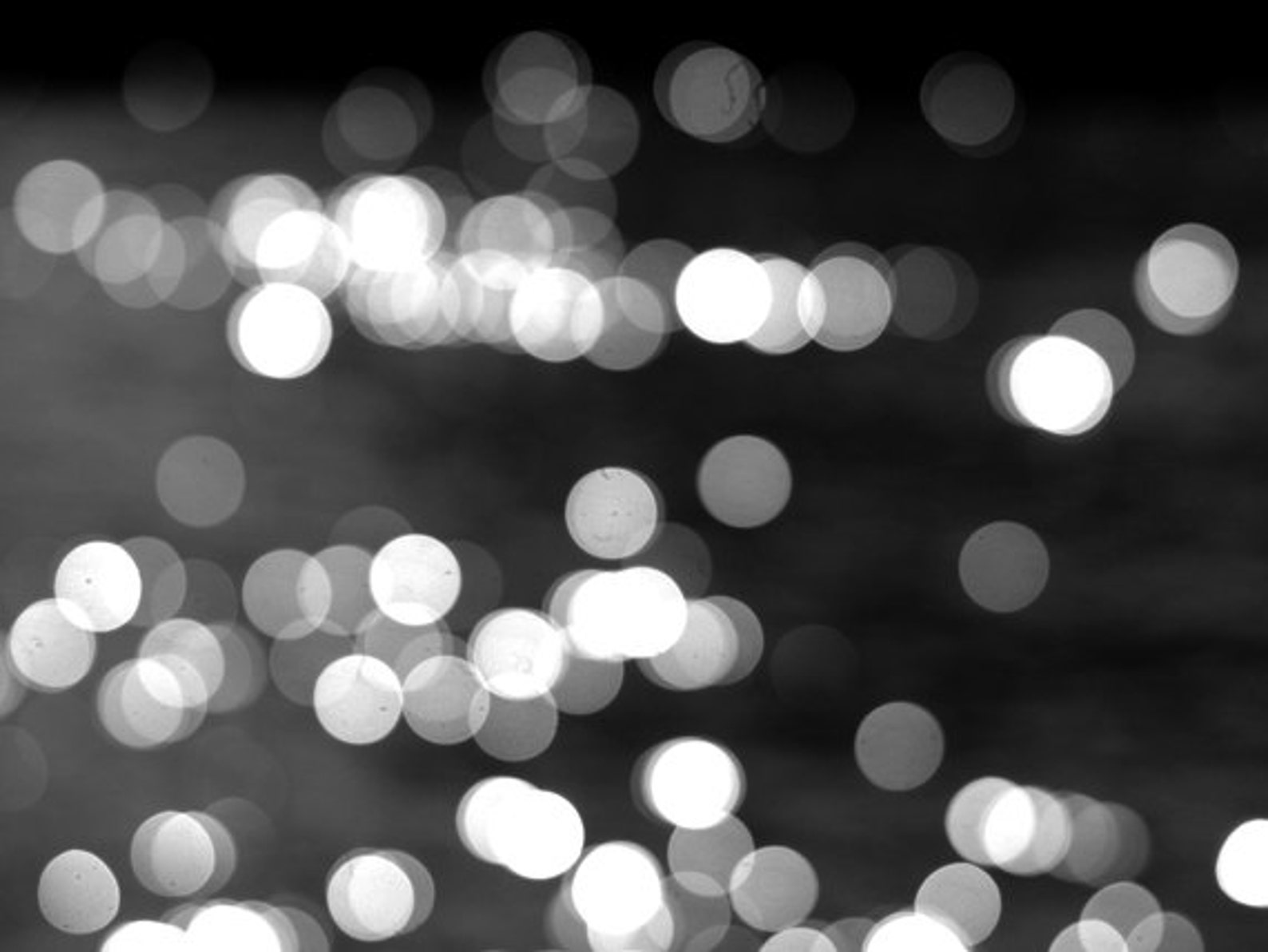 Black & White Abstract Photography Light Bokeh Sparkles - Etsy