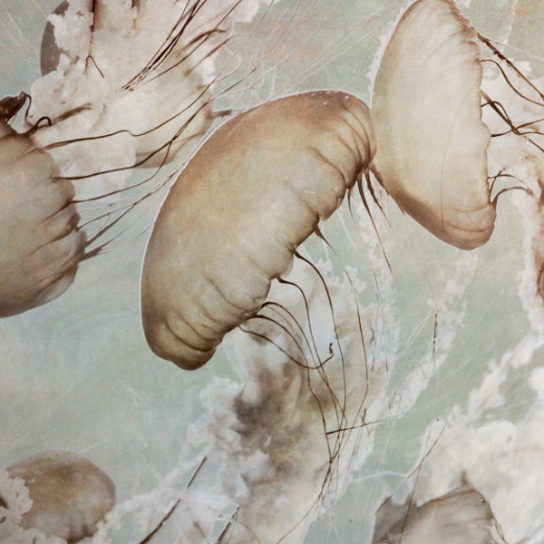 Powder Room Art - Etsy