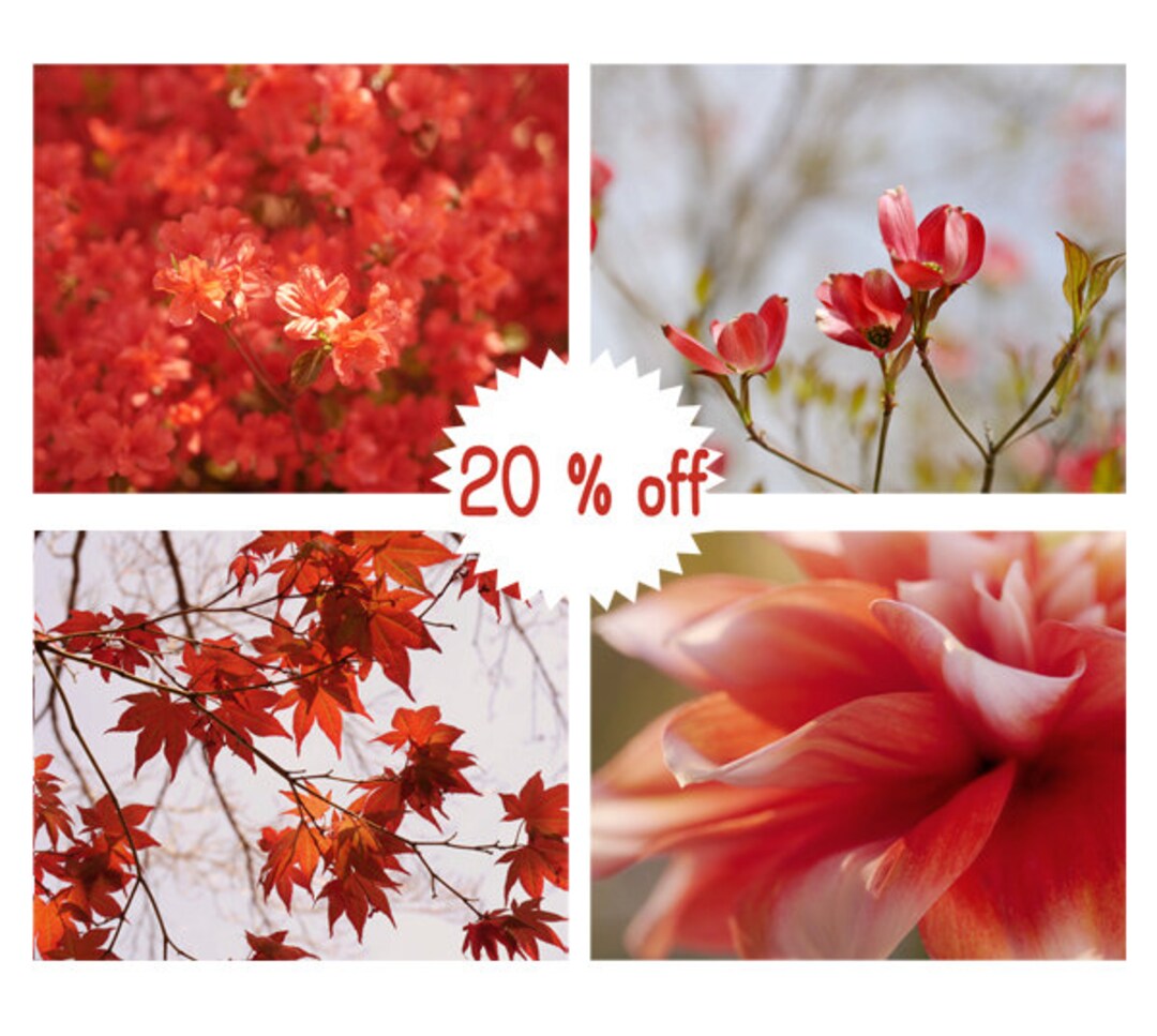 Red Art Red Photography Prints Red Pictures Set of 4 Photo - Etsy