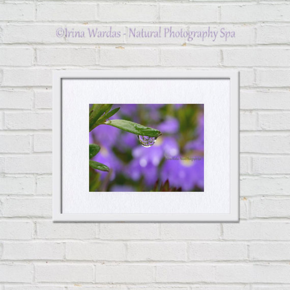 Bathroom Wall Art, Purple Wall Decor, Water Drop Macro Photography ...