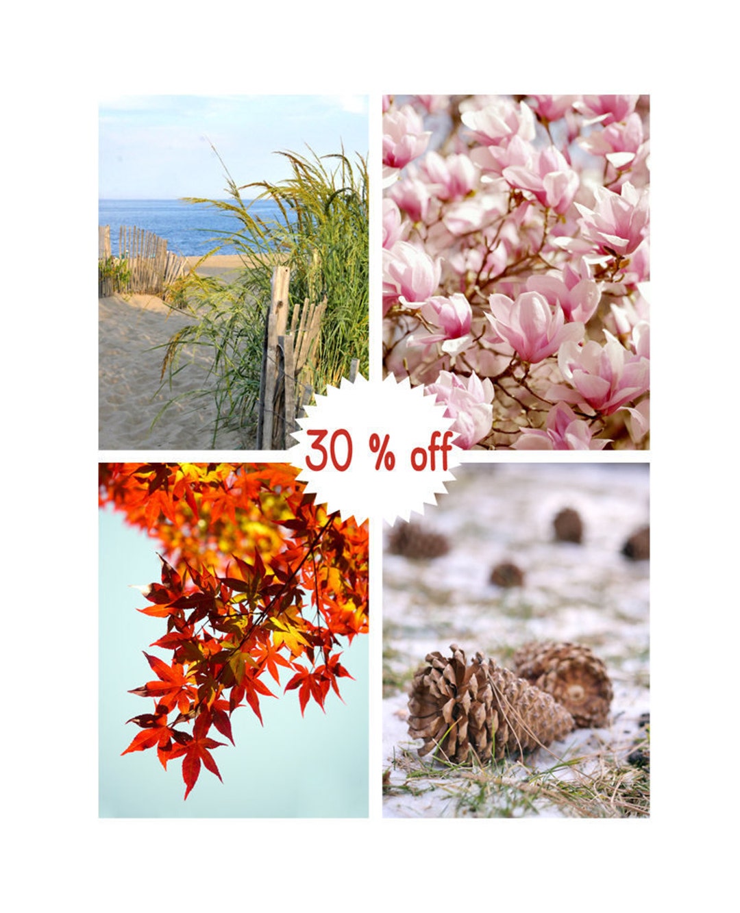 4 Season Wall Art, Four Seasons Prints, Nature Photography Gallery Wall ...
