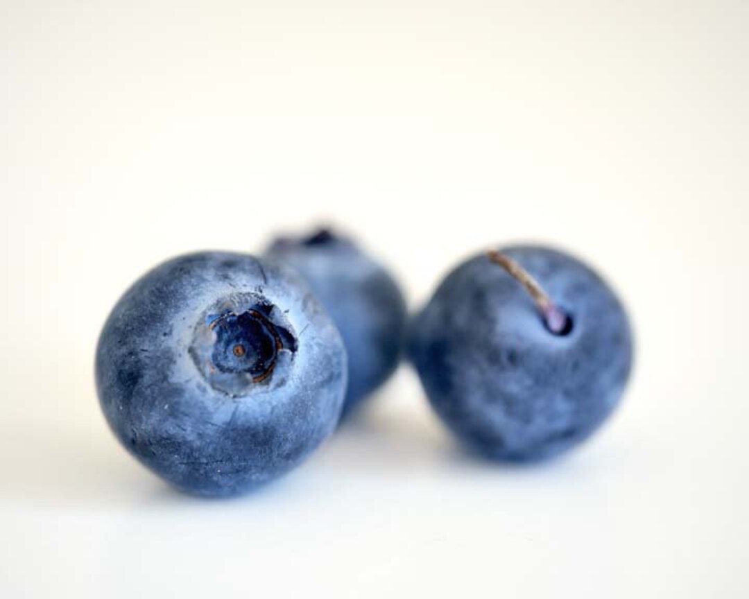 Blueberry Photography Print, Fruit Art Print, Modern Kitchen Wall Decor ...