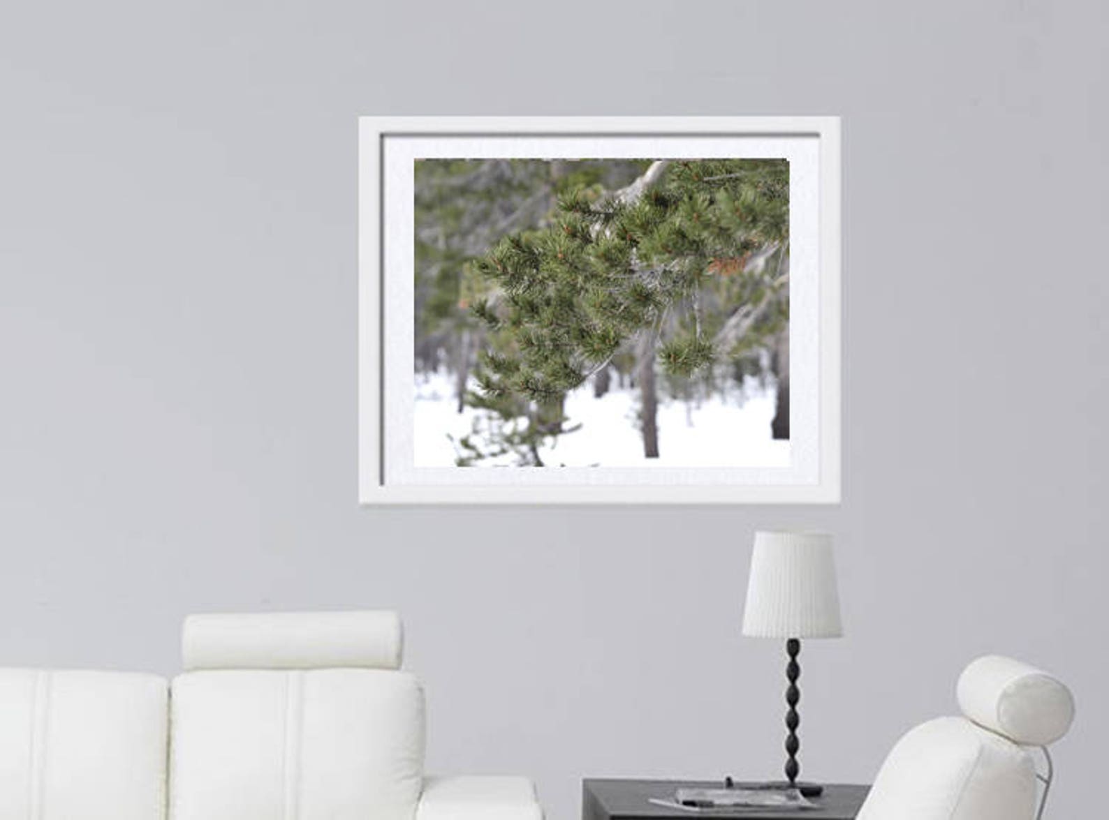 Winter Snow Wall Decor Evergreen Tree Nature Photography - Etsy