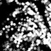 Black & White Abstract Light Photography, Twinkle Sparkles Gallery Wall ...