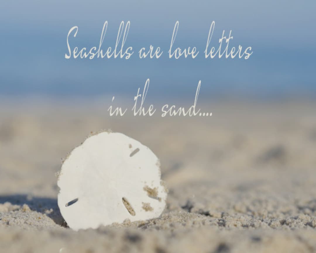 Seashells Are Love Letters Quote Photo Print, Nautical Photography ...