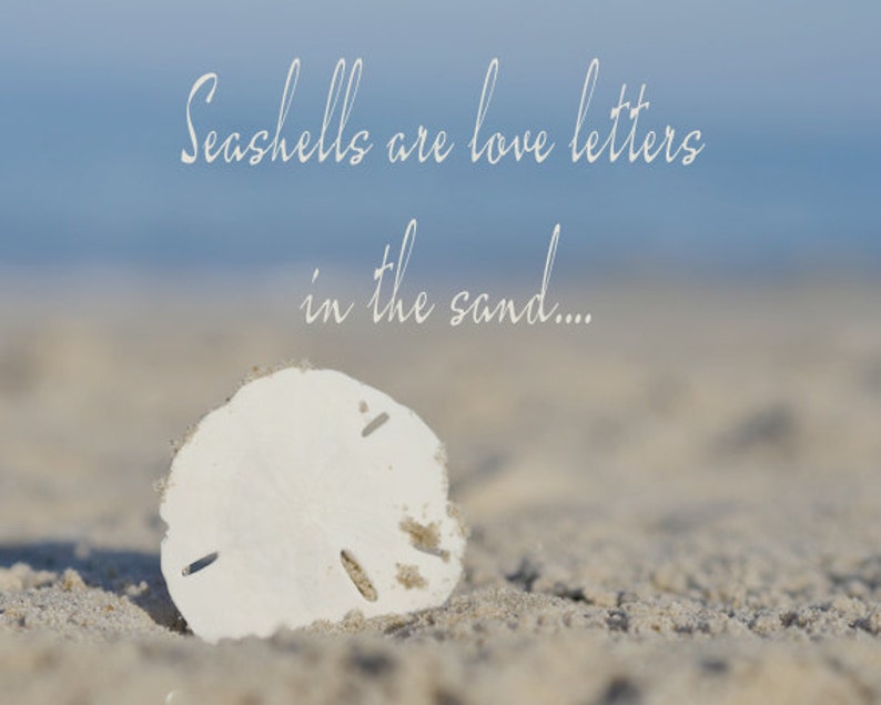 Seashells Are Love Letters Quote Photo Print Nautical - Etsy