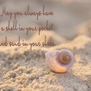 Seashell Quote, Coastal Wall Print Quote, Beach Photography, Beach ...