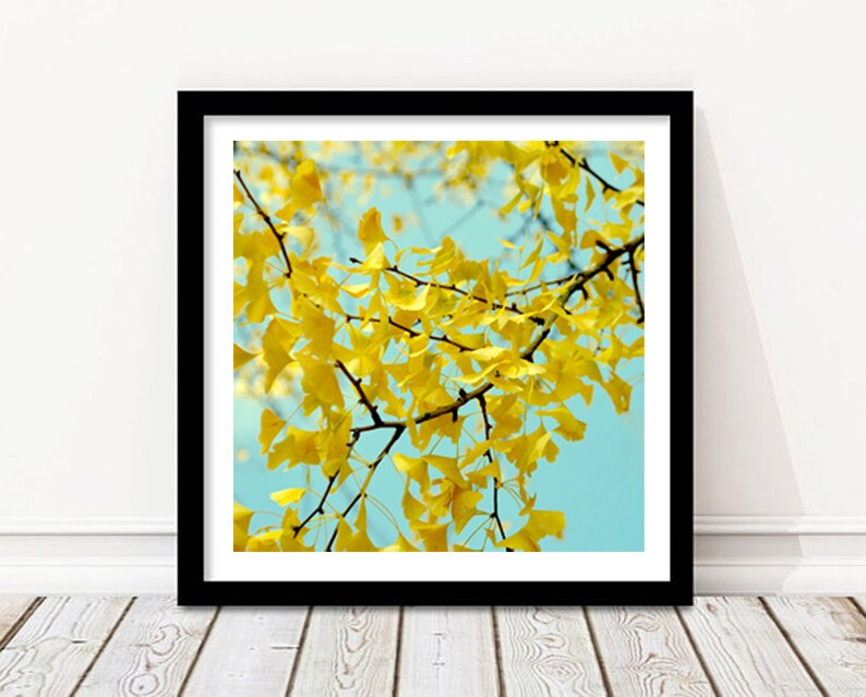 Ginkgo Print Ginkgo Biloba Tree Branch Photography Botanical | Etsy
