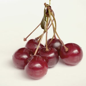 Fruit Photography Set, Modern Kitchen Art Prints on White, Food Wall ...