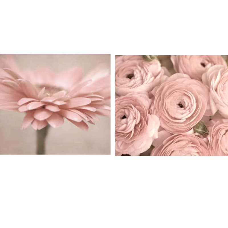 Blush Pictures - Etsy