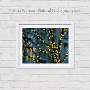 Lighted Tree Branches, Sparkling Tree Photography, Bokeh Light Abstract ...