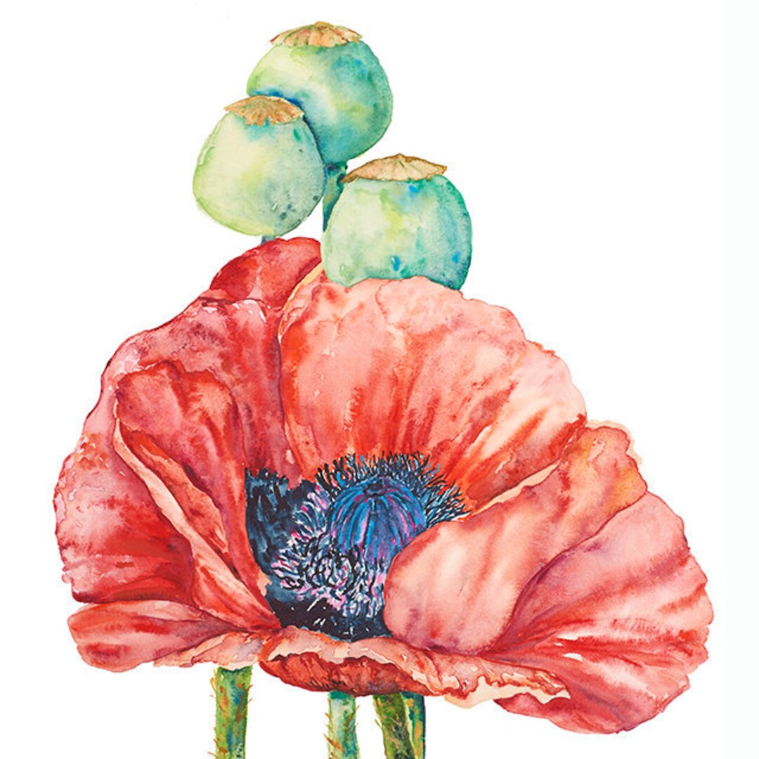 Curtsy poppy Ceramic Tile 4.25 X 4.25 Inches - Etsy