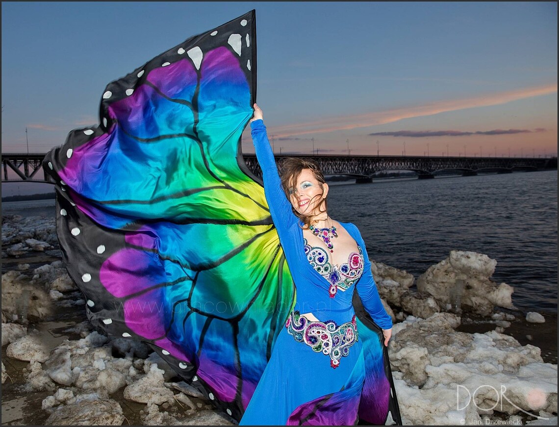 Whole wheel dance wings made of hand painted silk. Two | Etsy