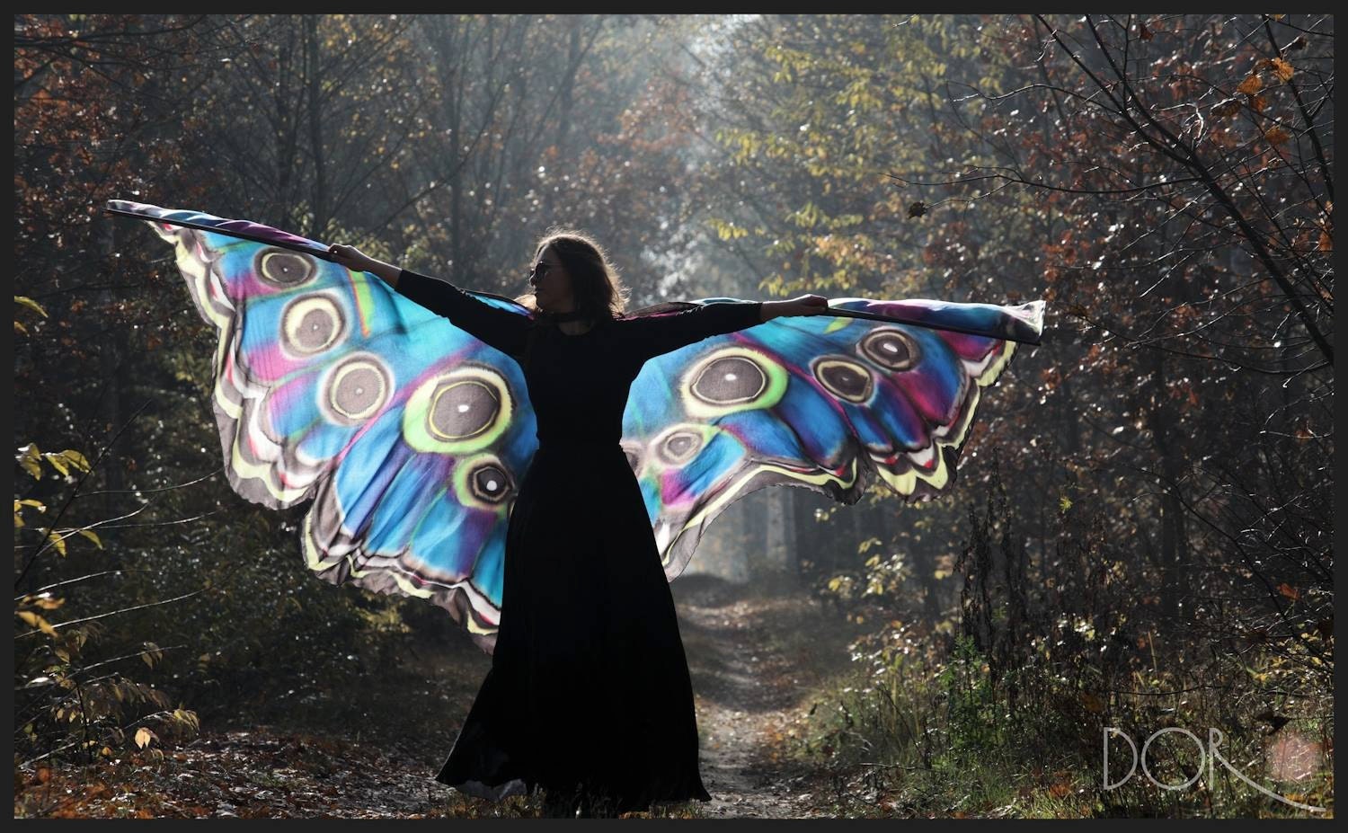 Unique, Hand Painted Silk Wings Made to Order. the Wings Like a ...