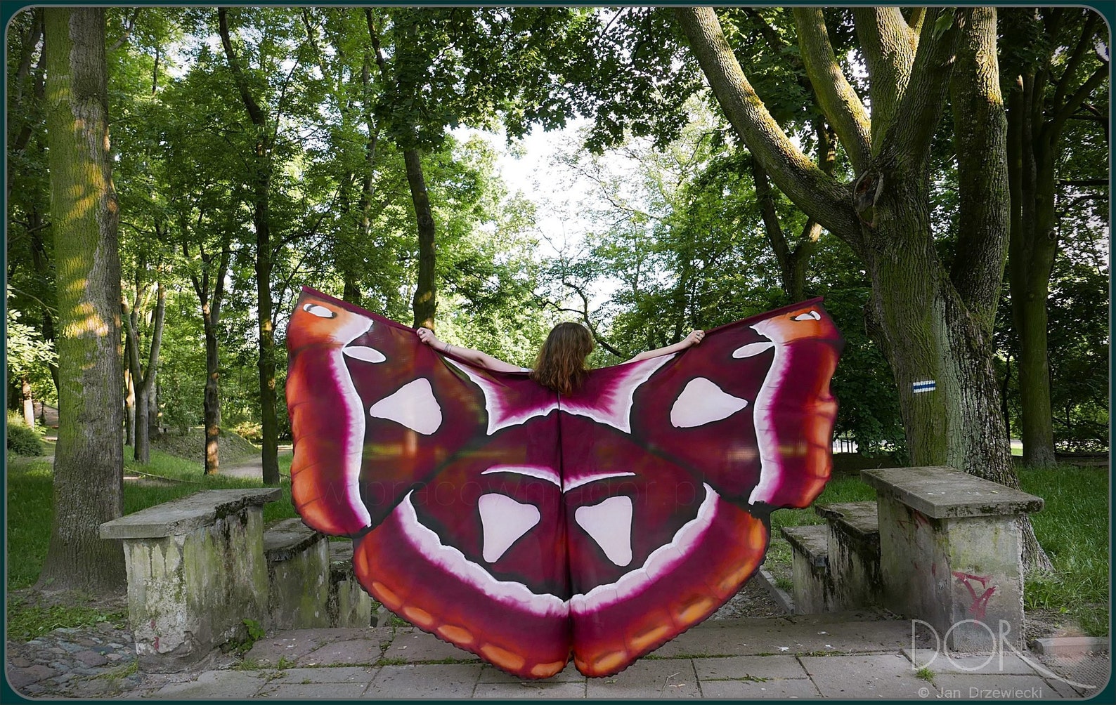 Moth wings. Hand painted silk wings made to order | Etsy