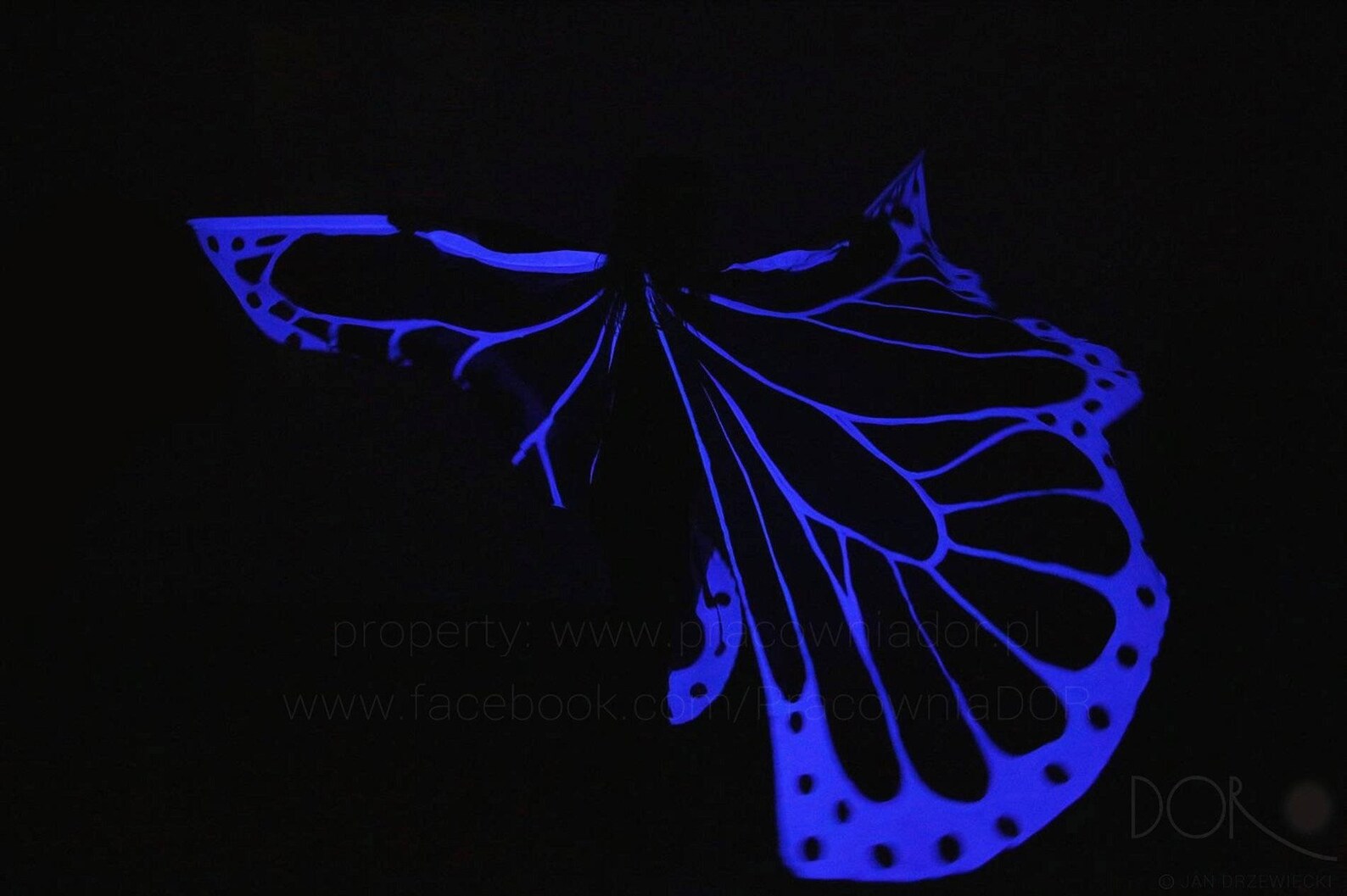 Hand-painted Silk Wings Glowing in UV Light. Belly Dance Wings - Etsy