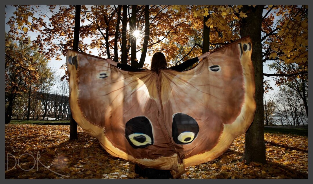 Silk Wings Like a Moth. Polyphemus Moth Made to Order - Etsy