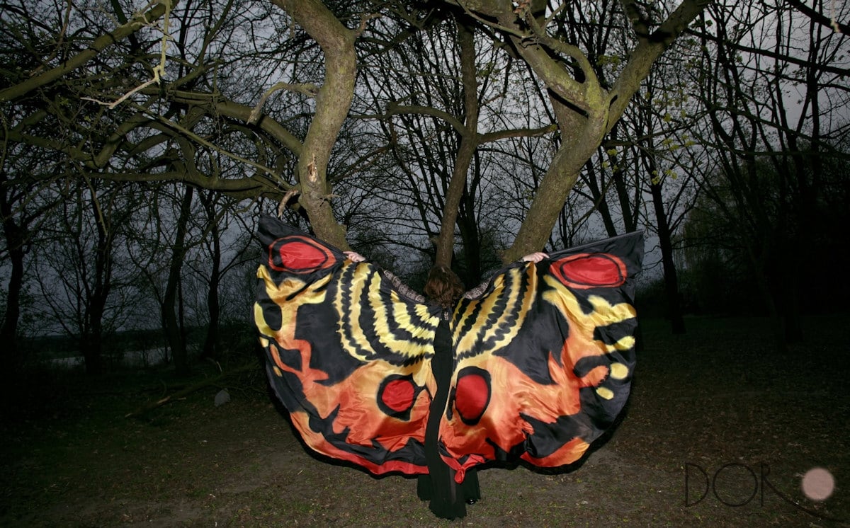 Mothra Wings. Belly Dance Unique Wings Made to Order. Hand Painted Silk ...
